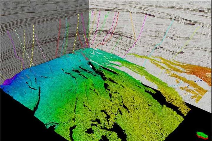 NAFTA | Principles of 3D Seismic Interpretation and Application